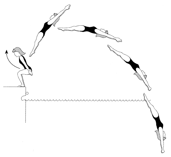 Home | Scottish Swimming