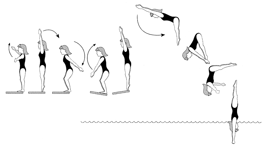 Home | Scottish Swimming